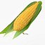 3ds Max Realistic Corn Real