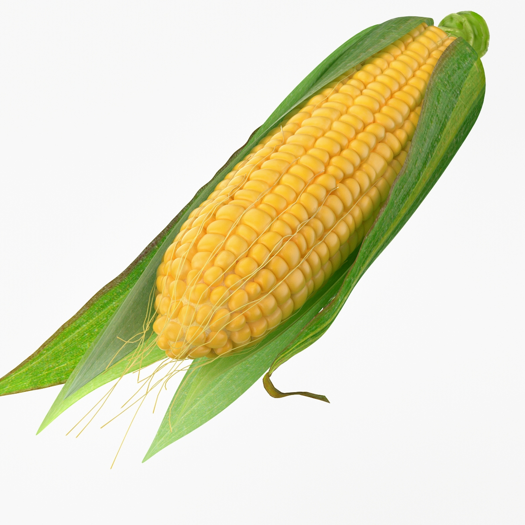 3ds Max Realistic Corn Real