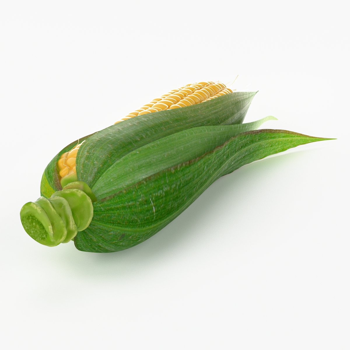 3ds max realistic corn real