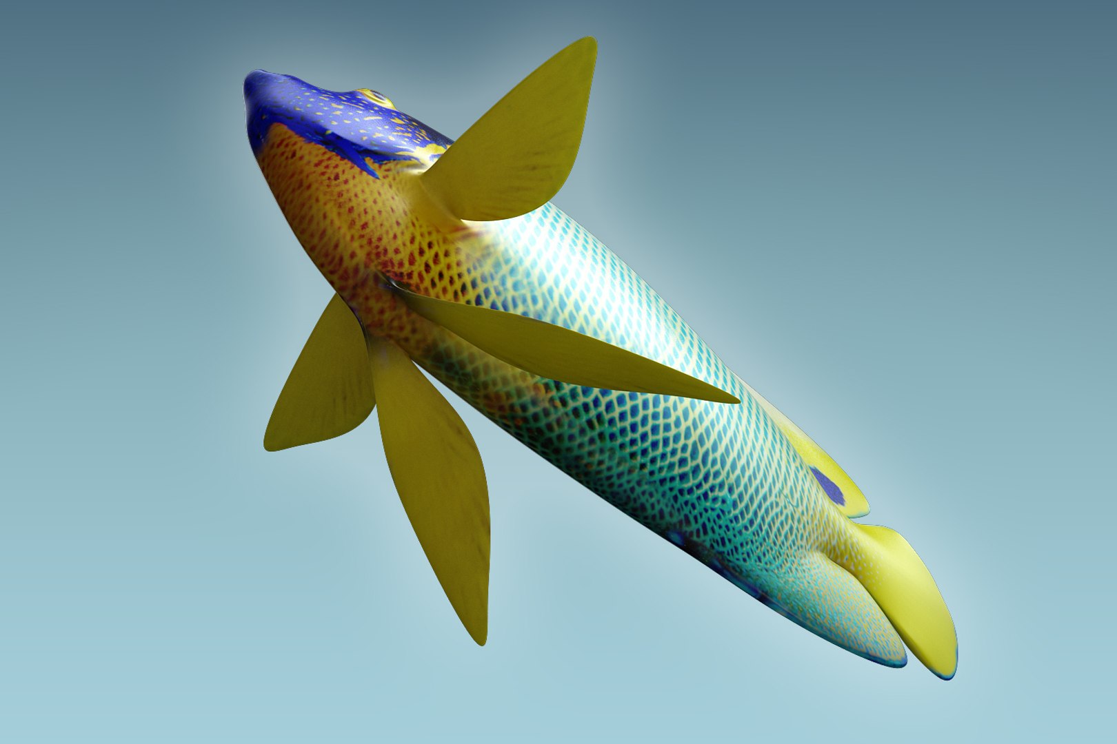 3D angle fish 16 model - TurboSquid 1208438
