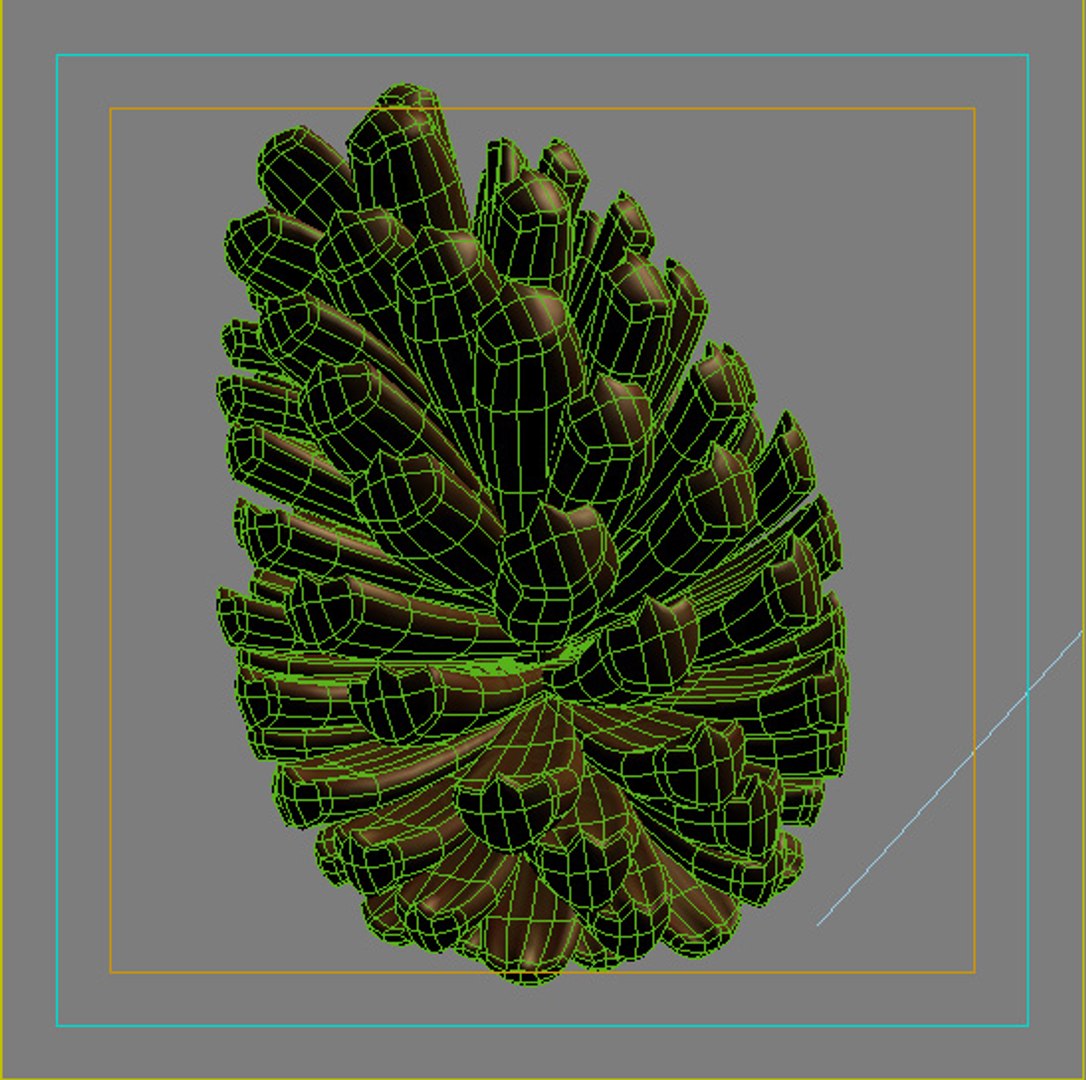 Pine Cone Pinecone 3d Model