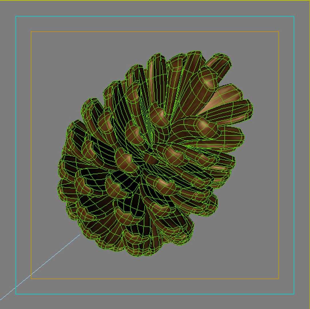 Pine Cone Pinecone 3d Model
