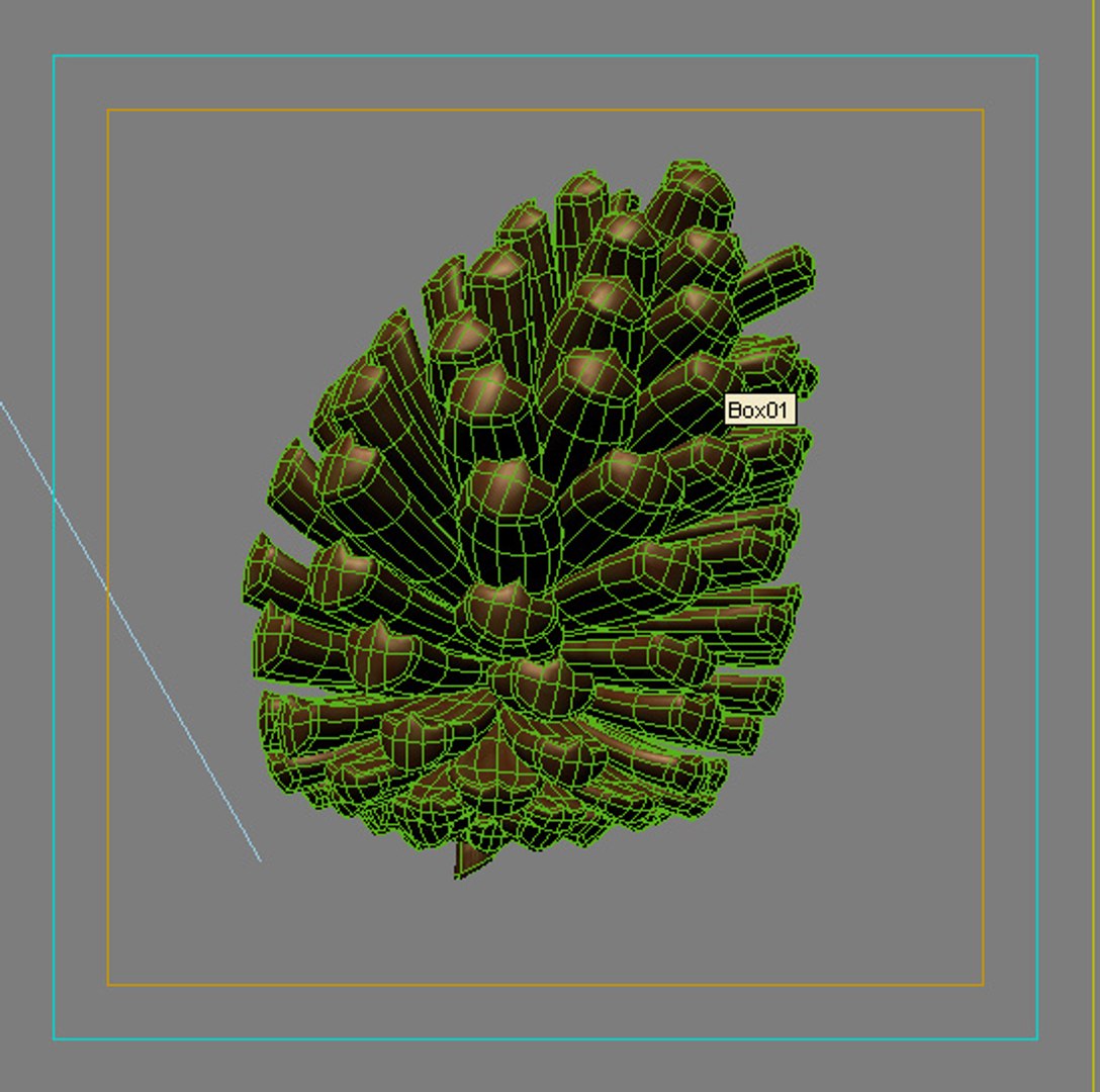 Pine Cone Pinecone 3d Model
