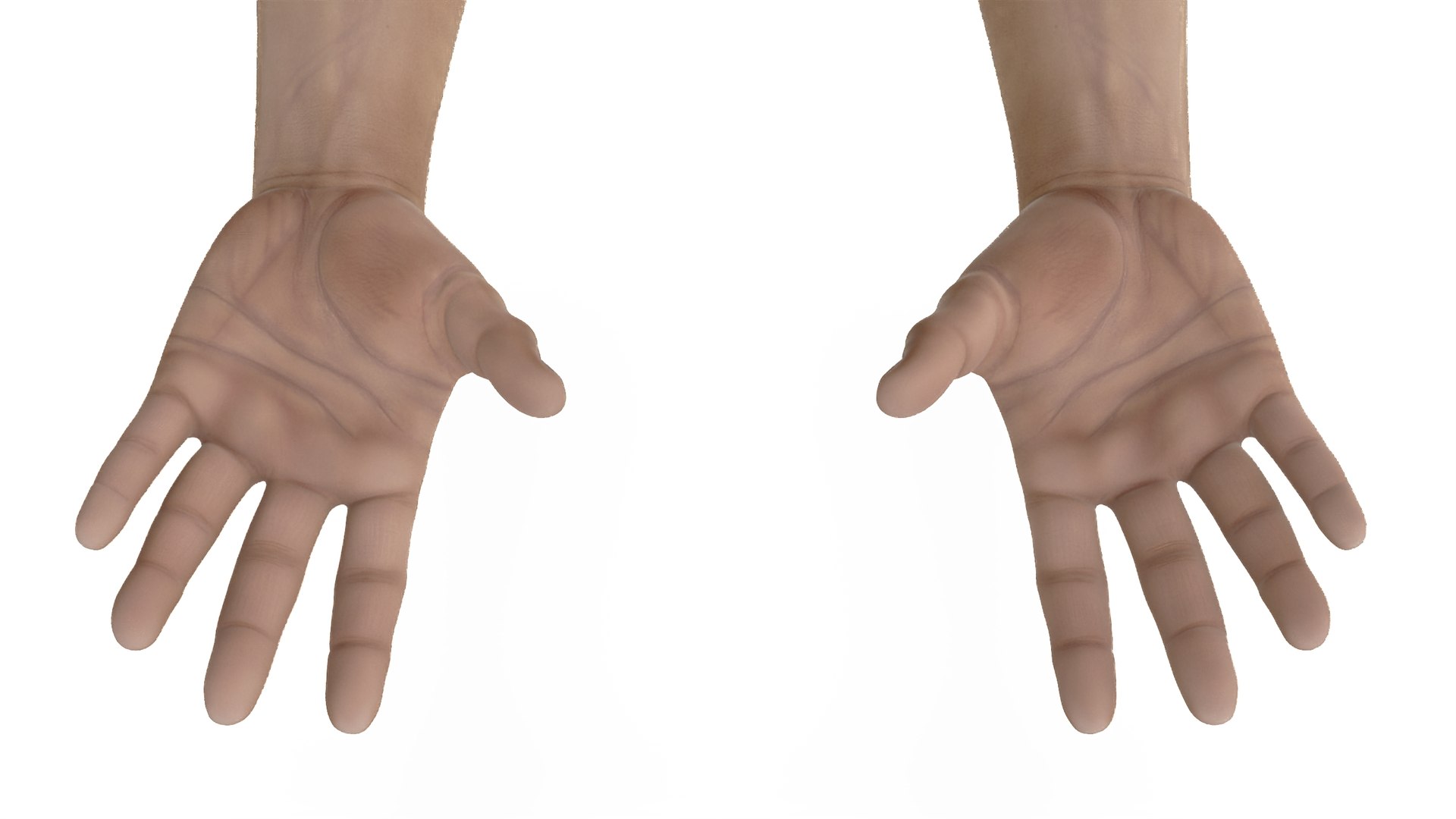 White Man Hands Base Pose Model - TurboSquid 2195765