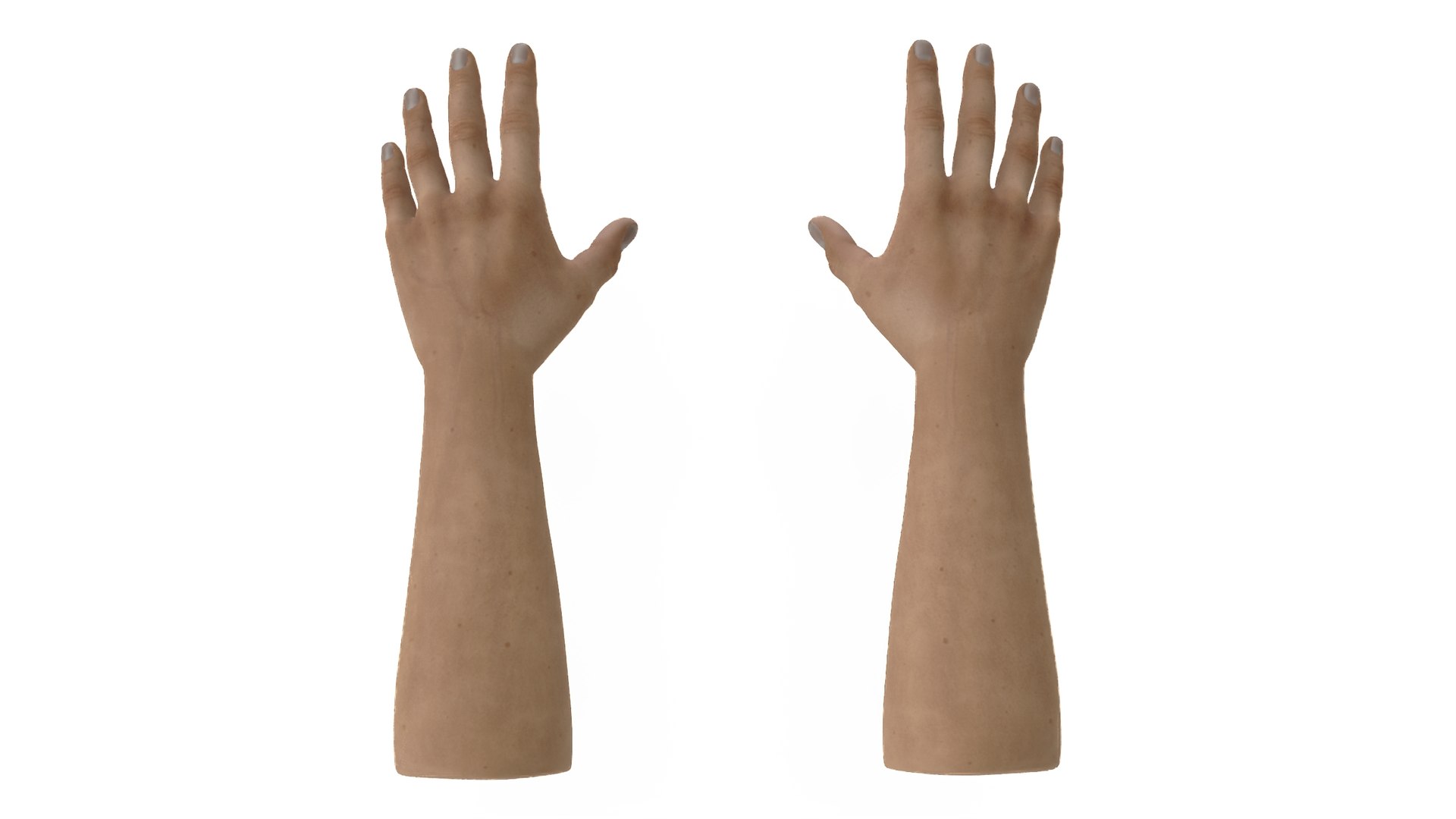 White Man Hands Base Pose Model - TurboSquid 2195765