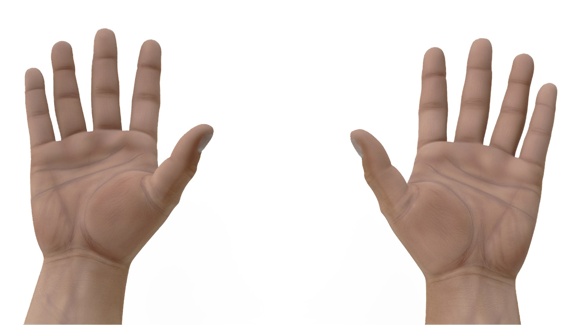 White Man Hands Base Pose Model - TurboSquid 2195765