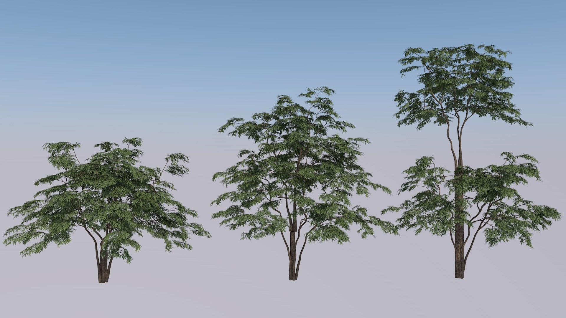 3D High-Quality Tree Collection 3 Variations Per Tree Detailed ...