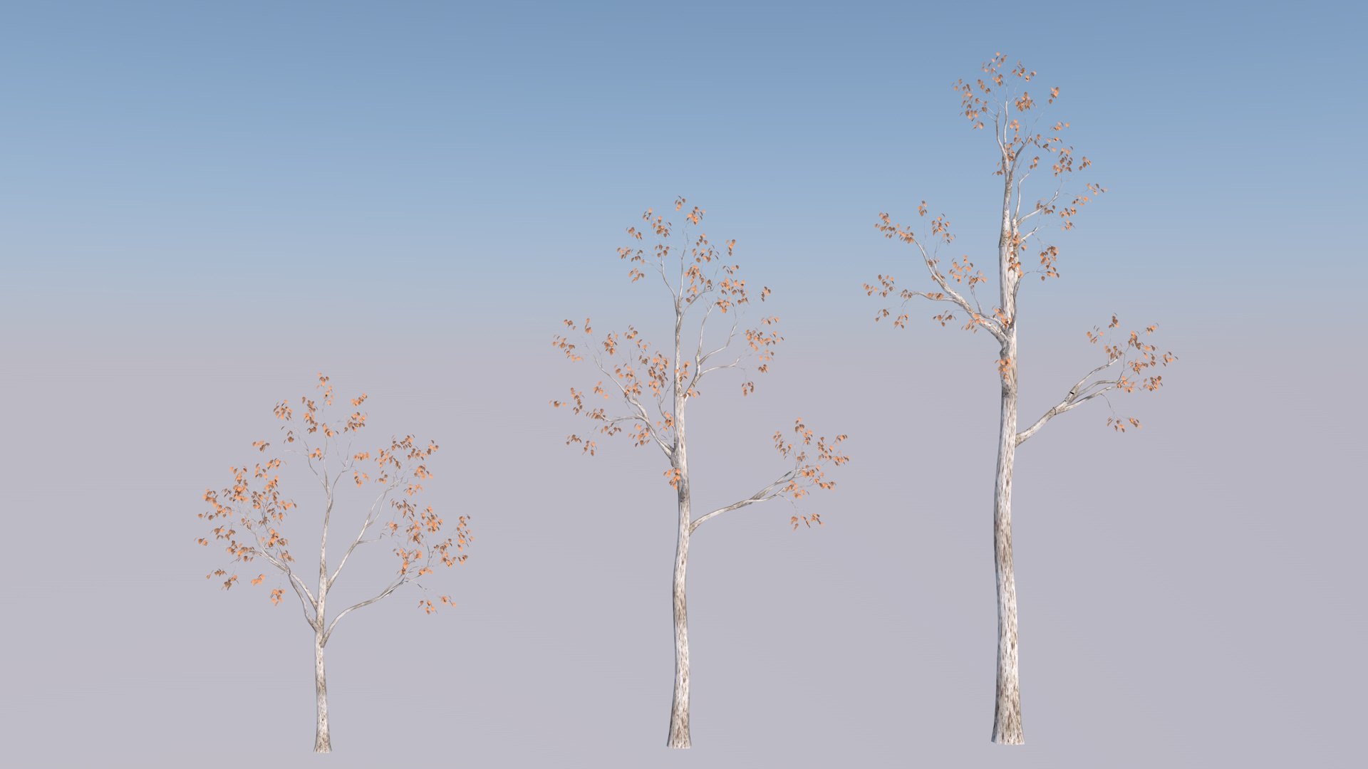 3D High-Quality Tree Collection 3 Variations Per Tree Detailed ...