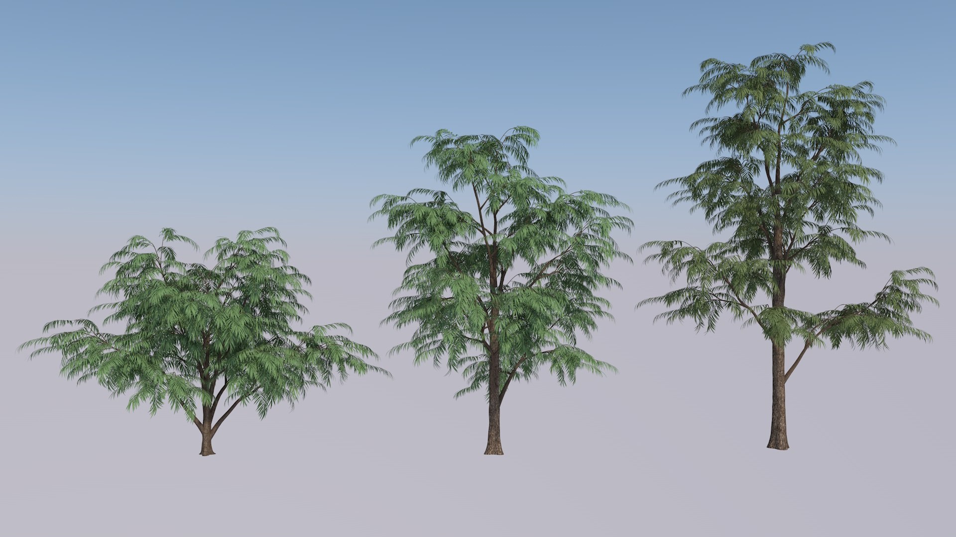 3D High-Quality Tree Collection 3 Variations Per Tree Detailed ...