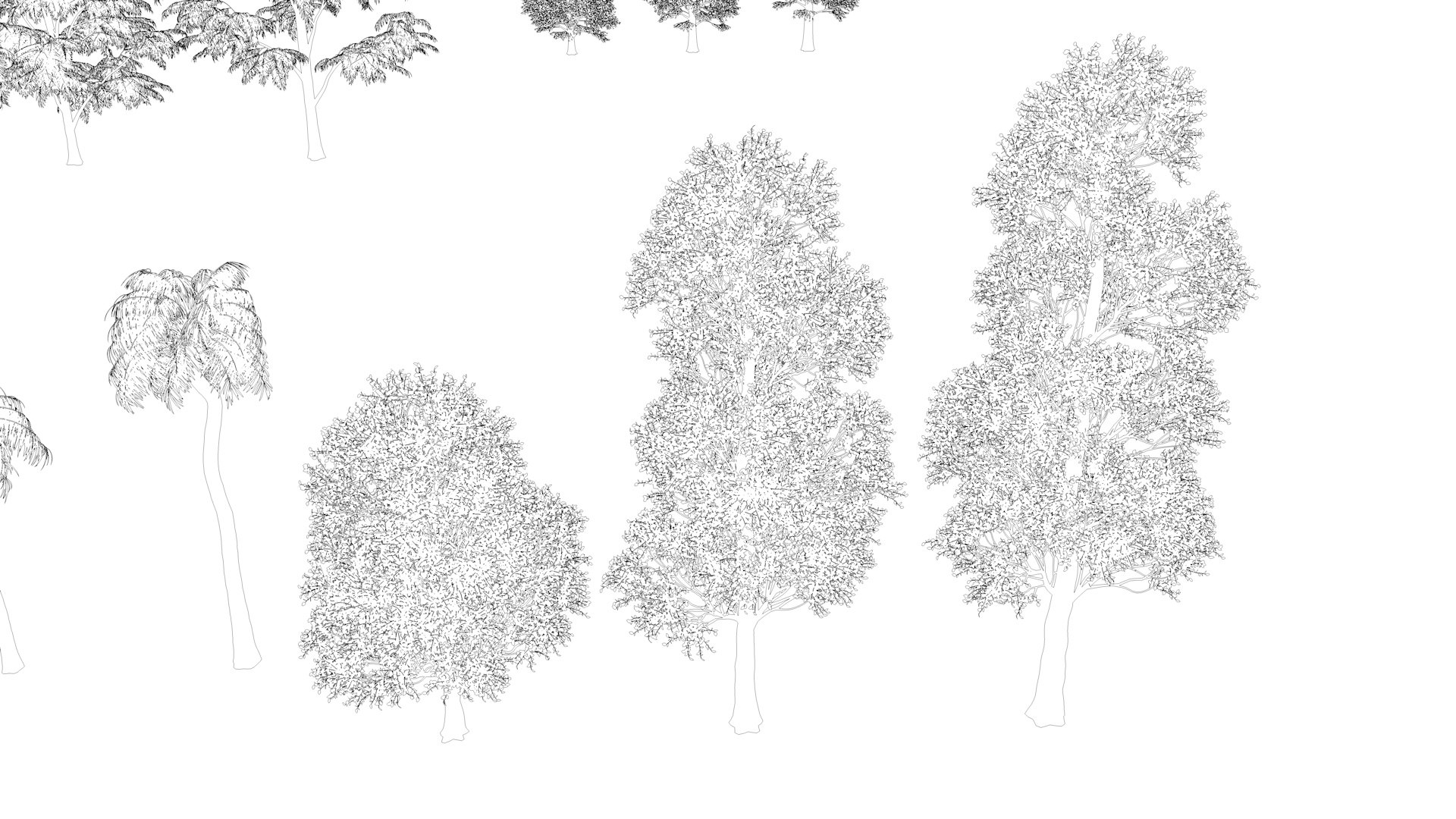3D High-Quality Tree Collection 3 Variations Per Tree Detailed ...