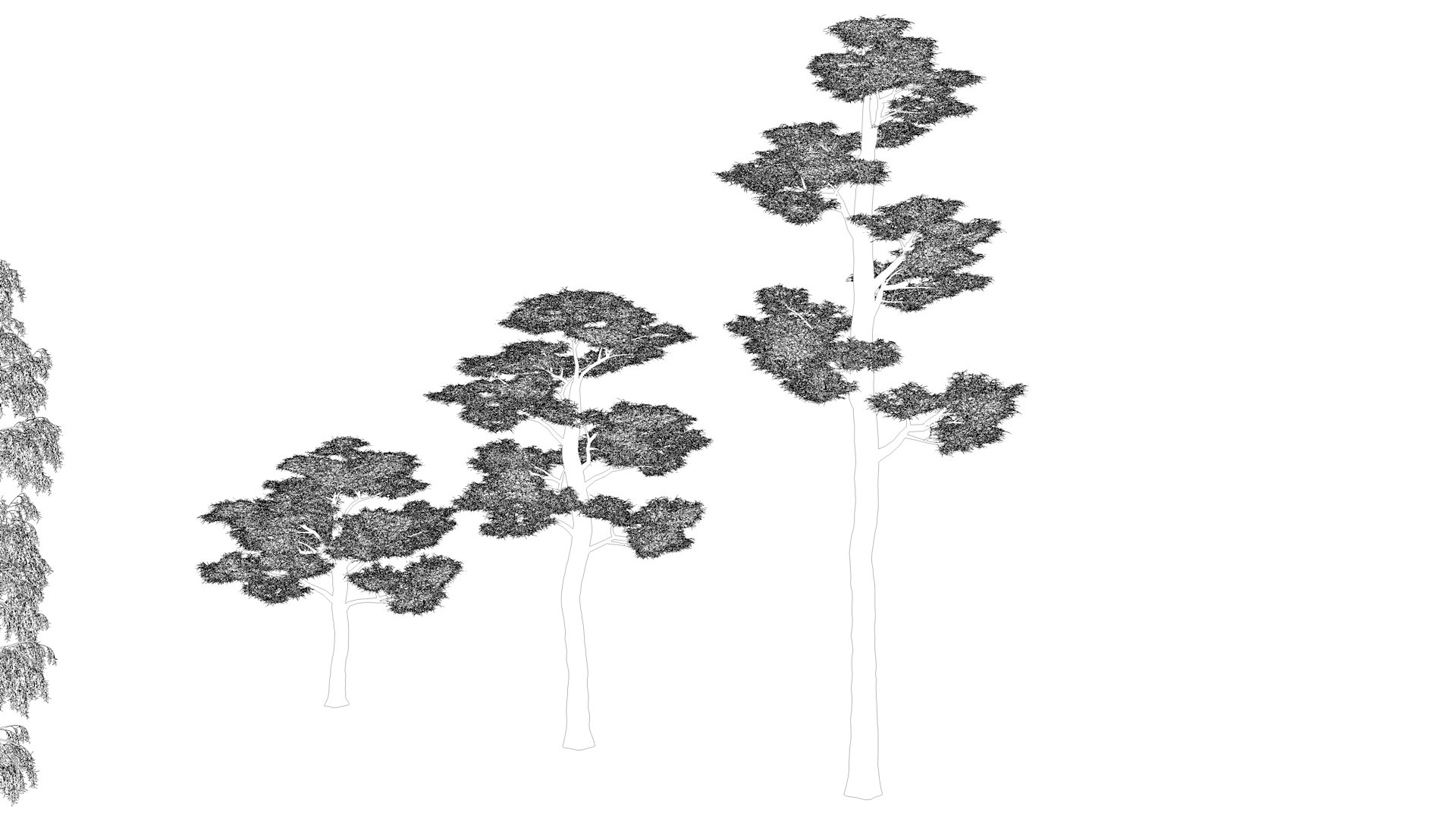 3D High-Quality Tree Collection 3 Variations Per Tree Detailed ...