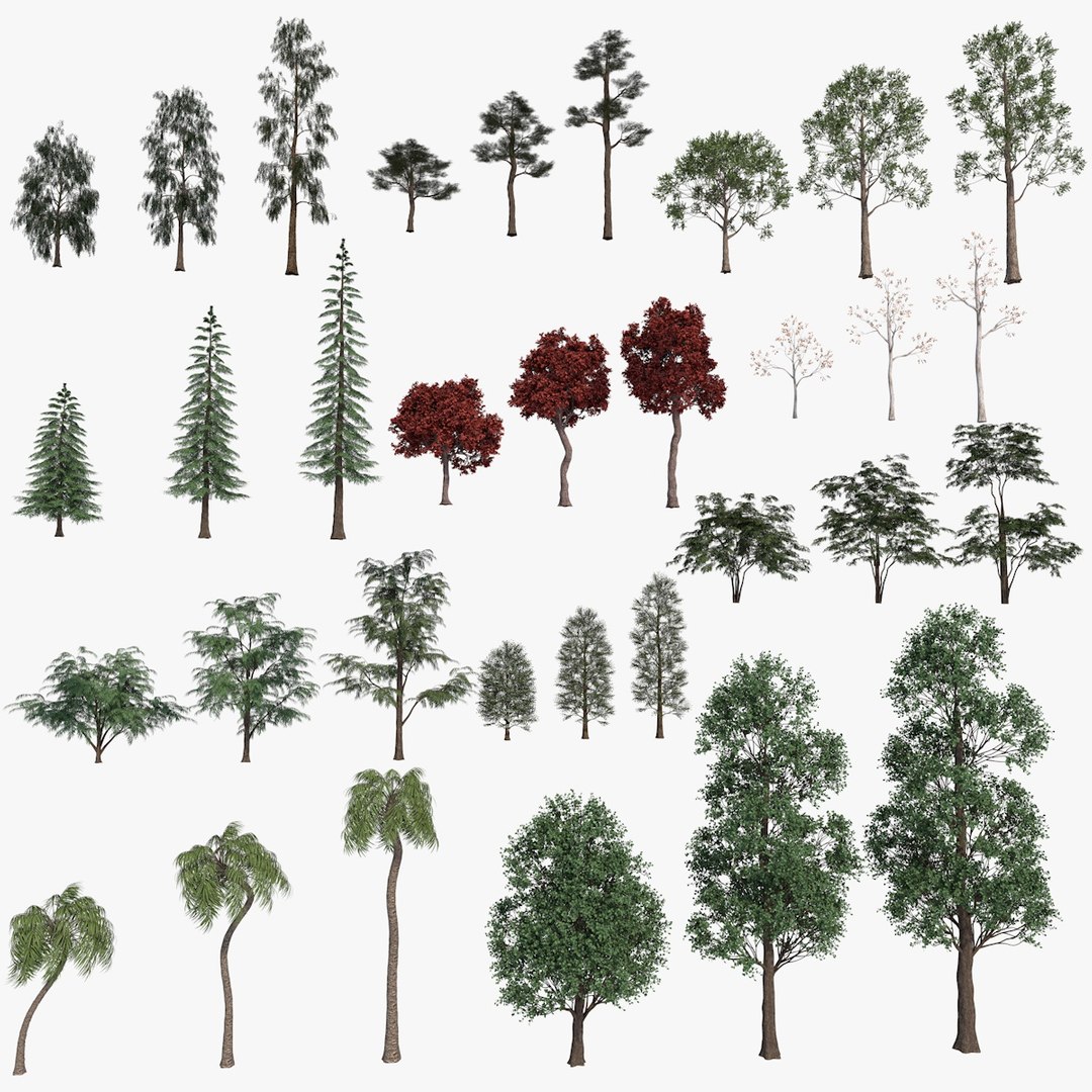 3D High-Quality Tree Collection 3 Variations Per Tree Detailed ...