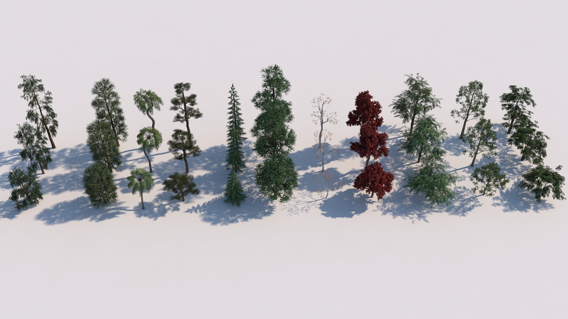 3D High-Quality Tree Collection 3 Variations Per Tree Detailed ...