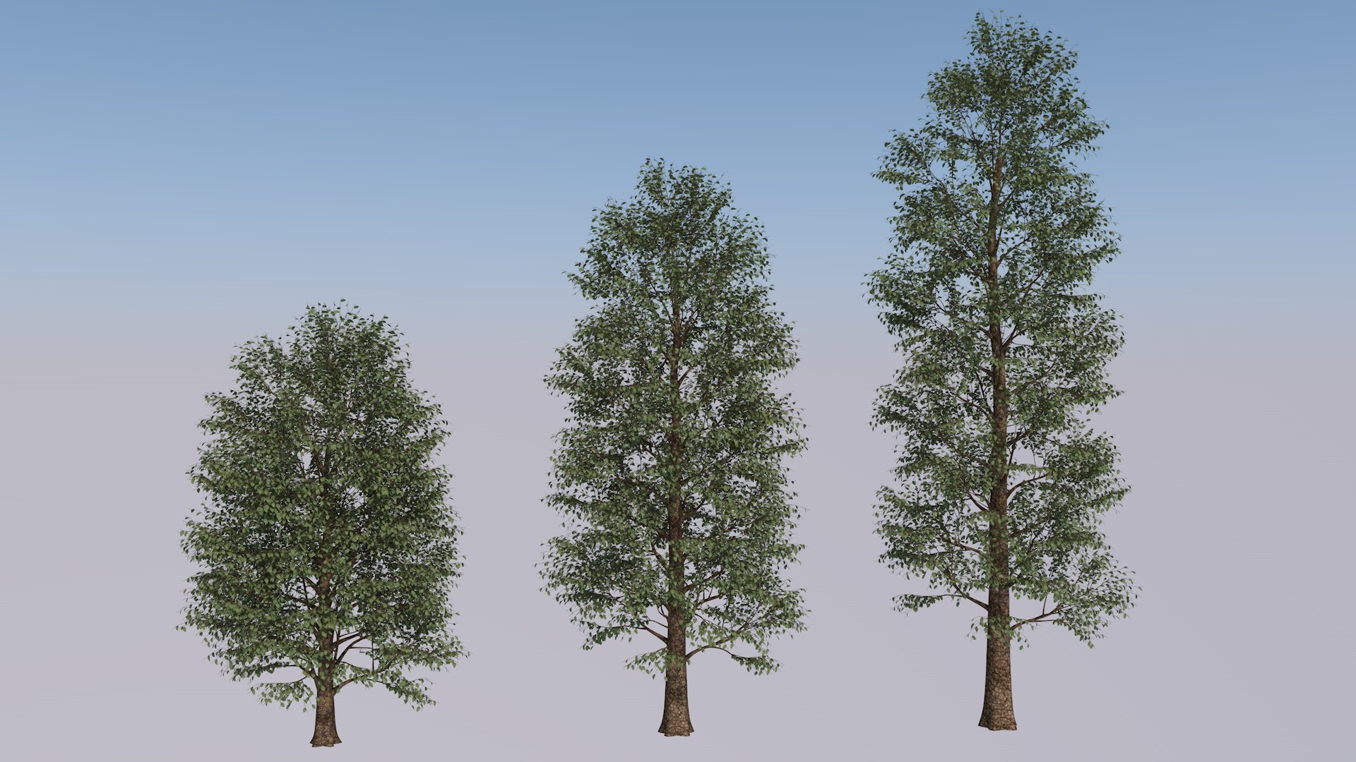 3D High-Quality Tree Collection 3 Variations Per Tree Detailed ...
