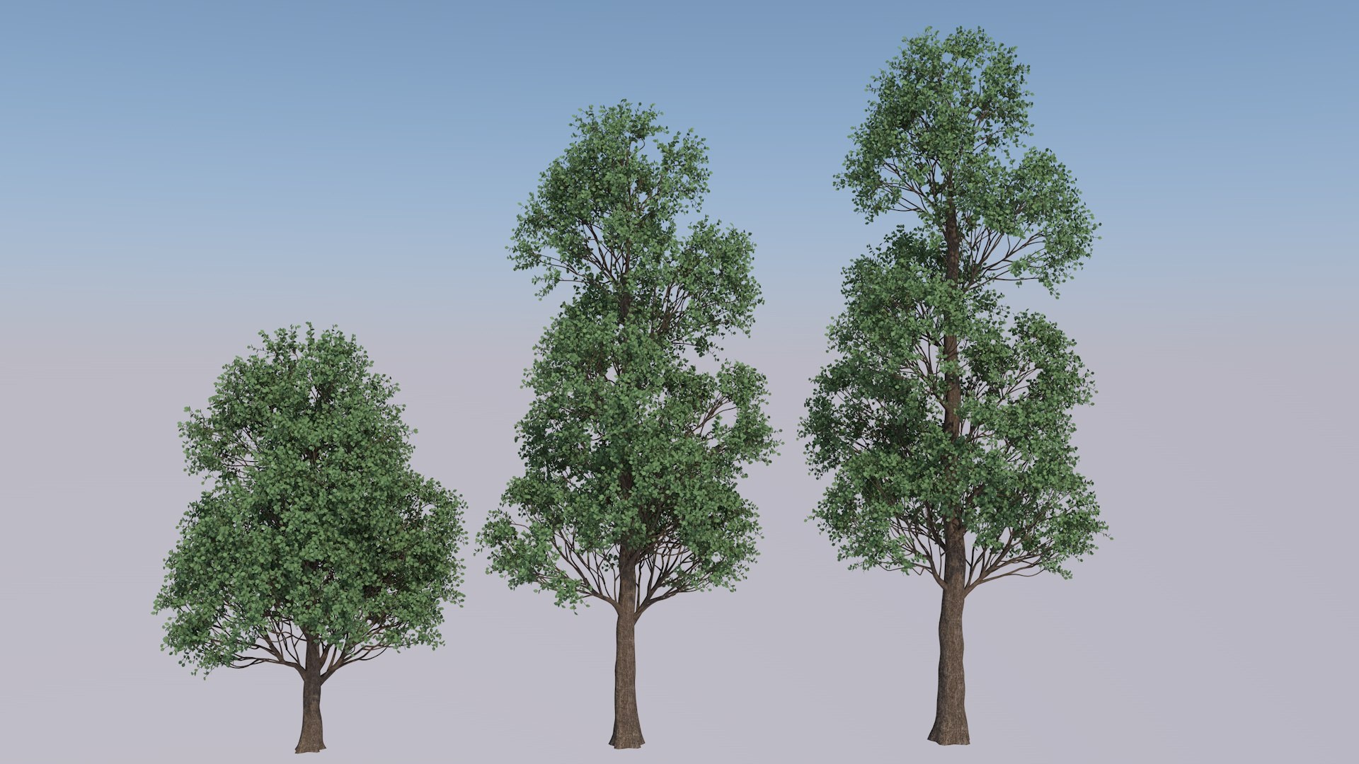 3D High-Quality Tree Collection 3 Variations Per Tree Detailed ...