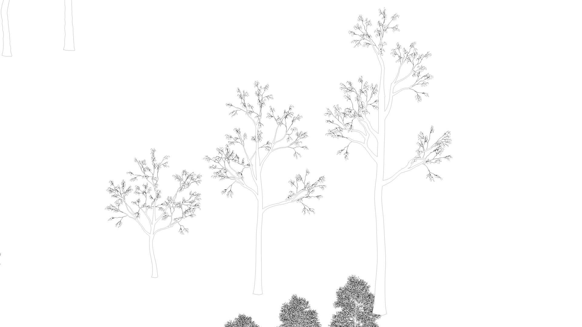 3D High-Quality Tree Collection 3 Variations Per Tree Detailed ...