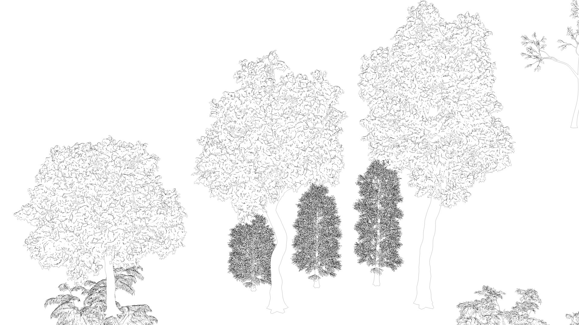 3D High-Quality Tree Collection 3 Variations Per Tree Detailed ...