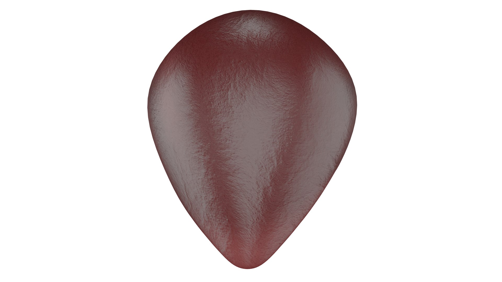 Human Liver 3D Model - Realistic Human Liver Anatomy 3D Model ...