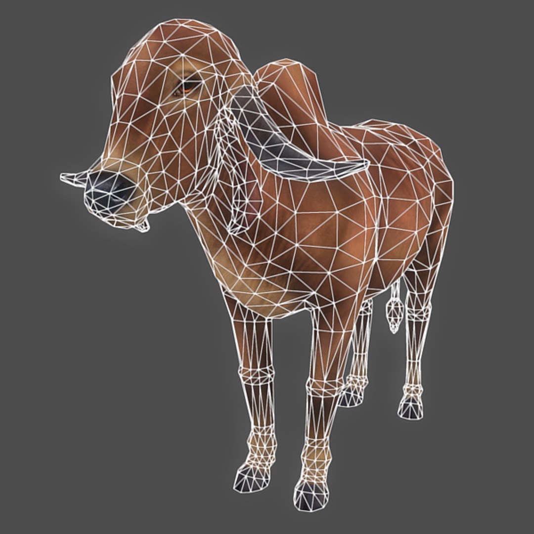 obj cow gyr