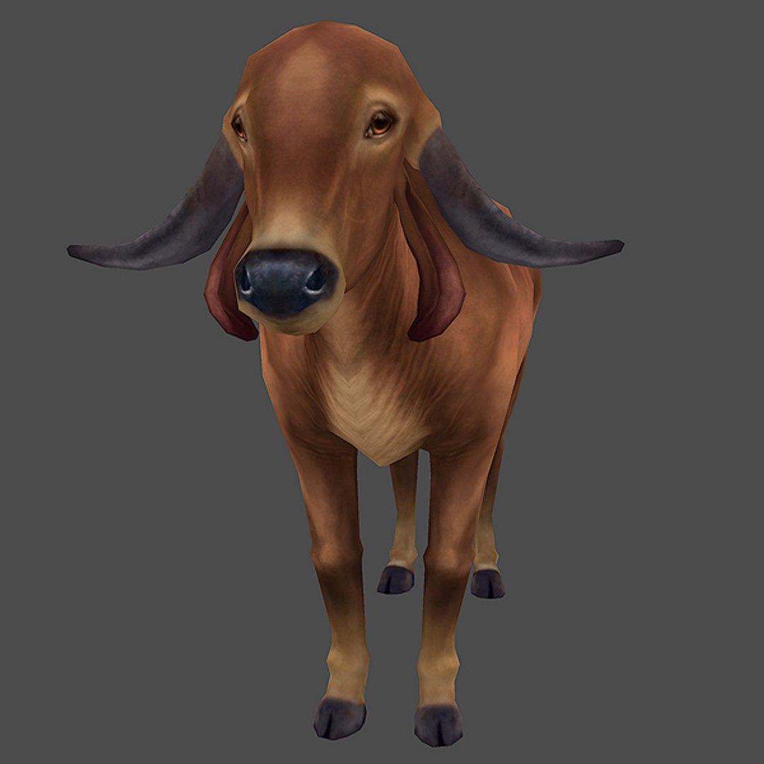 obj cow gyr