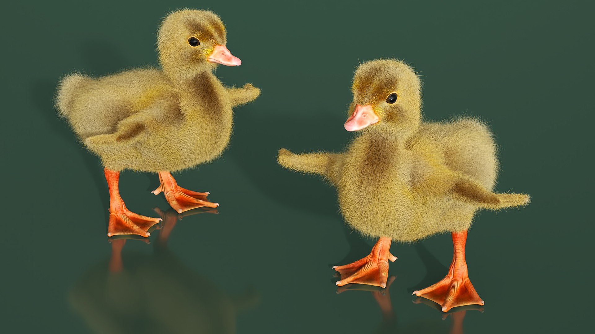 Baby Duckling Fur 3D Model - TurboSquid 2385156