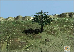 Free Animated Tree 3D Models for Download | TurboSquid