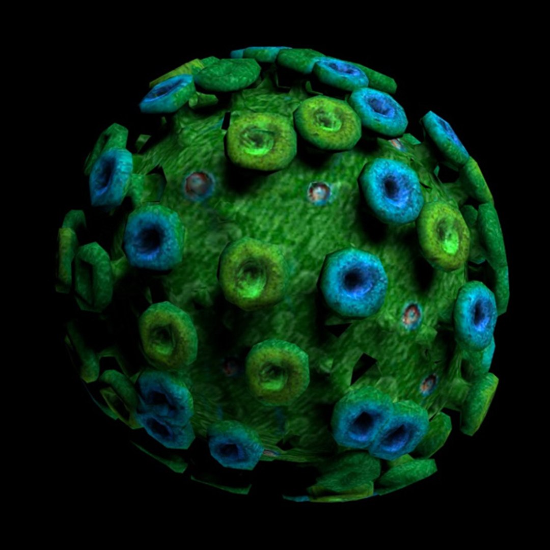 3d Model Aids Hiv Cell