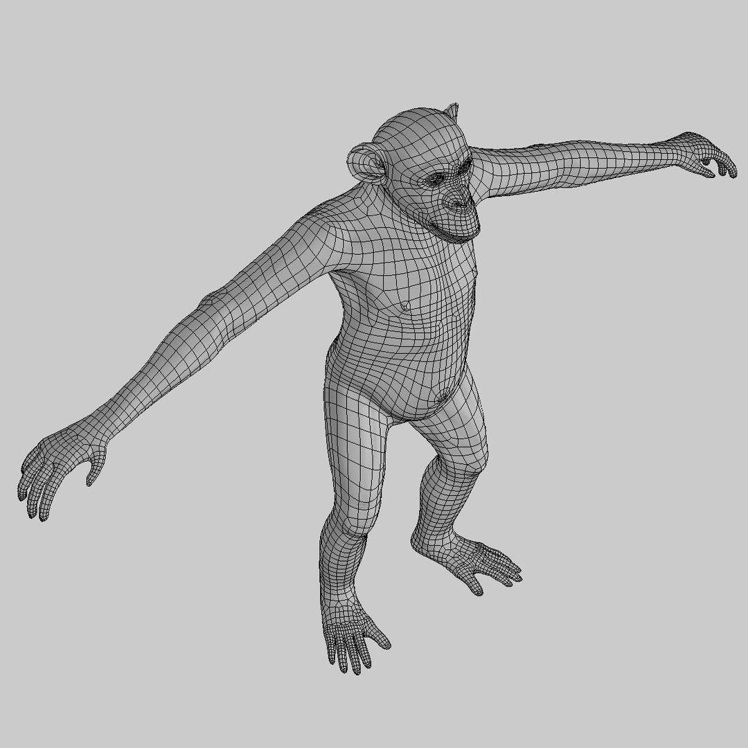 3d chimp fur animation