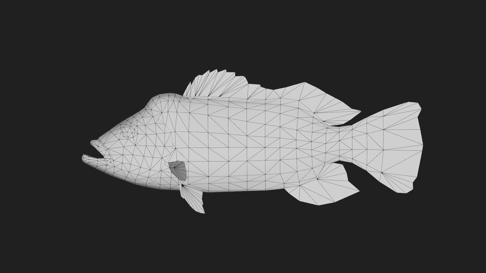 3D Bass Fish Model - TurboSquid 2122063