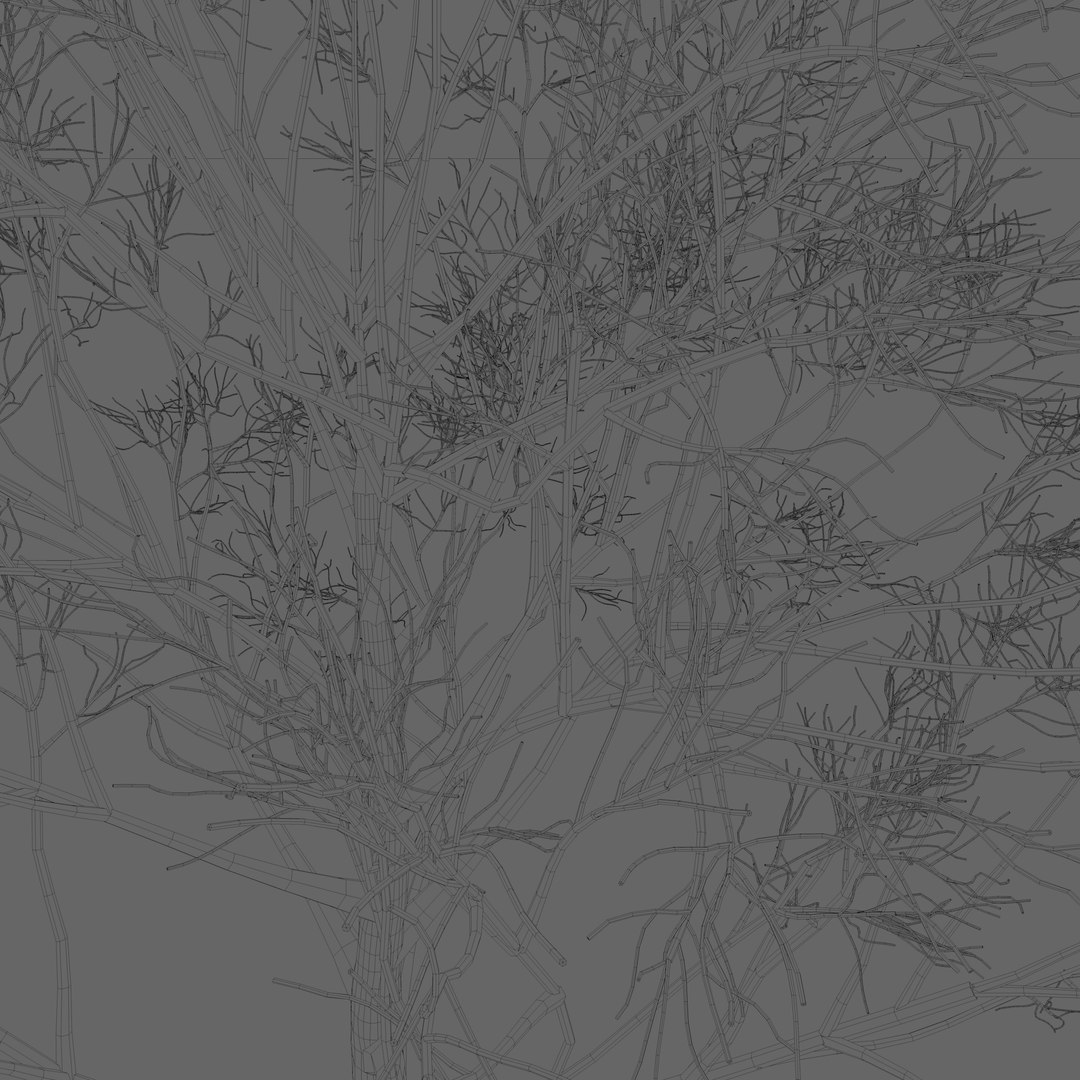 3D Dead Tree Model - TurboSquid 1309446