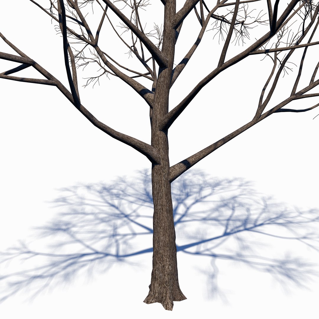 3D Dead Tree Model - TurboSquid 1309446