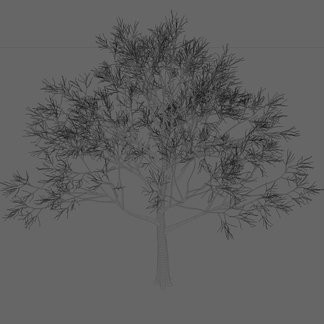 3D dead tree model - TurboSquid 1309446