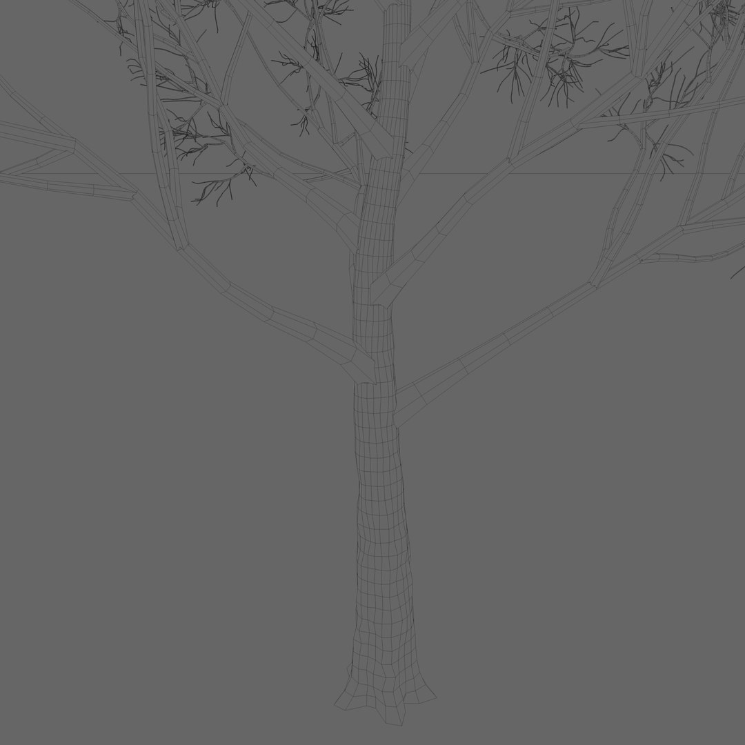 3D Dead Tree Model - TurboSquid 1309446