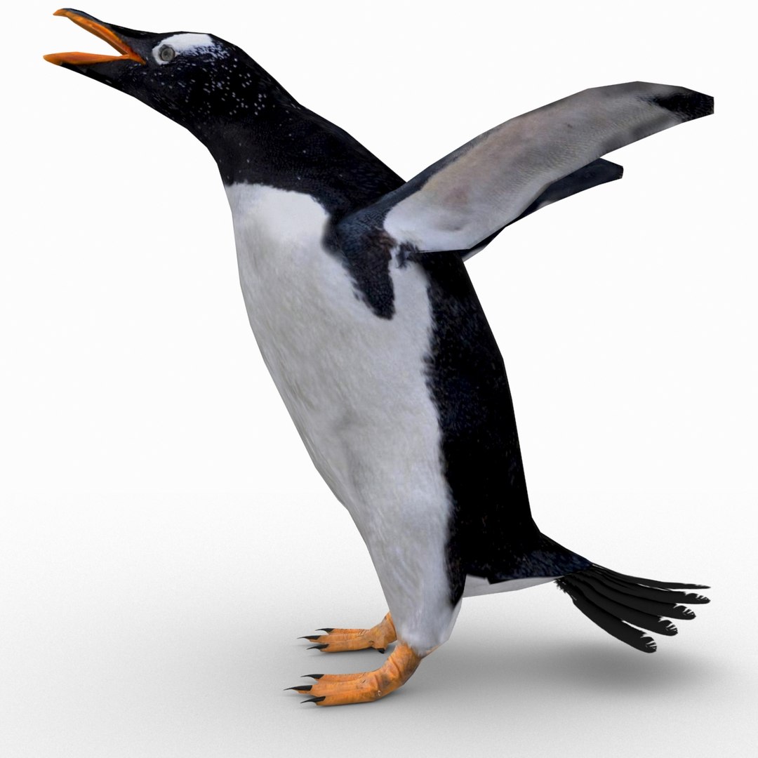 Penguin 3d Max