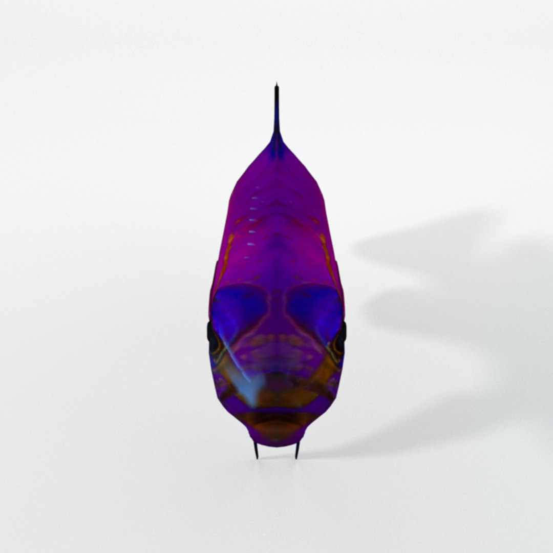 Gramma Loreto 3D Model - TurboSquid 1316781