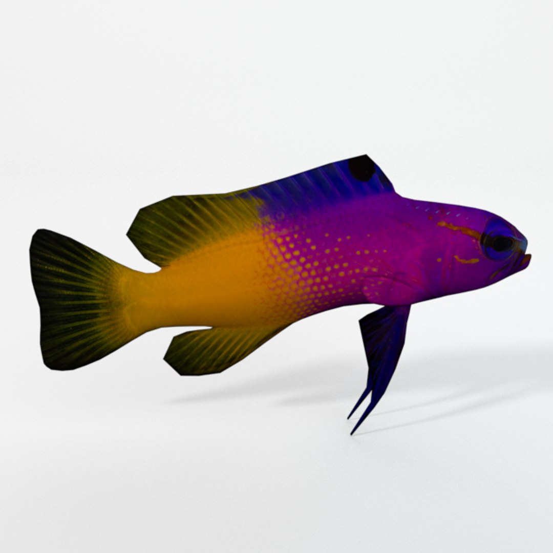 Gramma Loreto 3D Model - TurboSquid 1316781