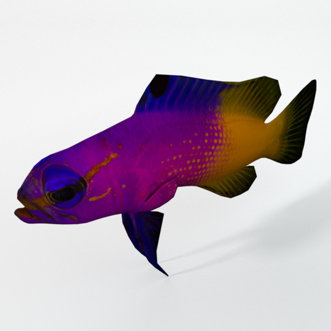 Gramma loreto 3D 모델 - TurboSquid 1316781