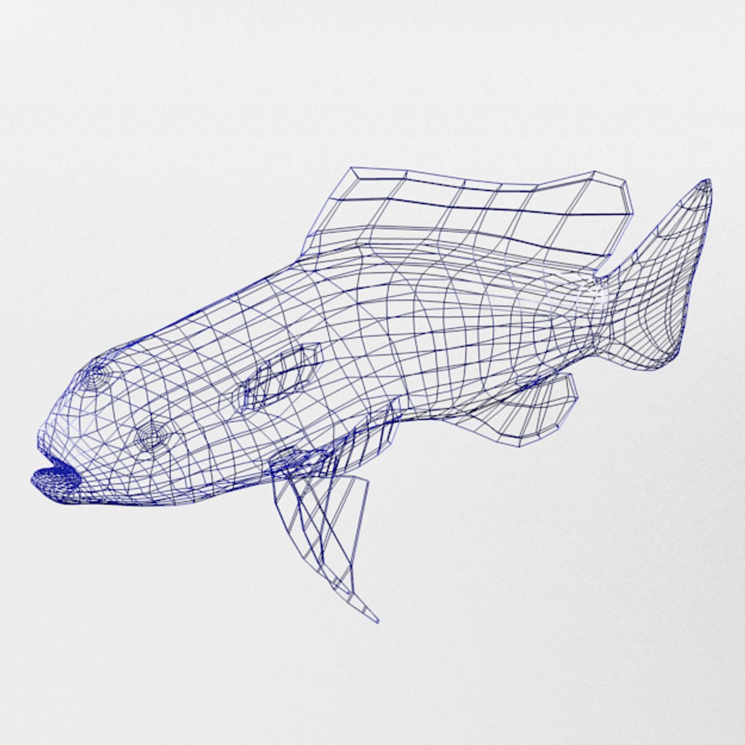 Gramma Loreto 3D Model - TurboSquid 1316781