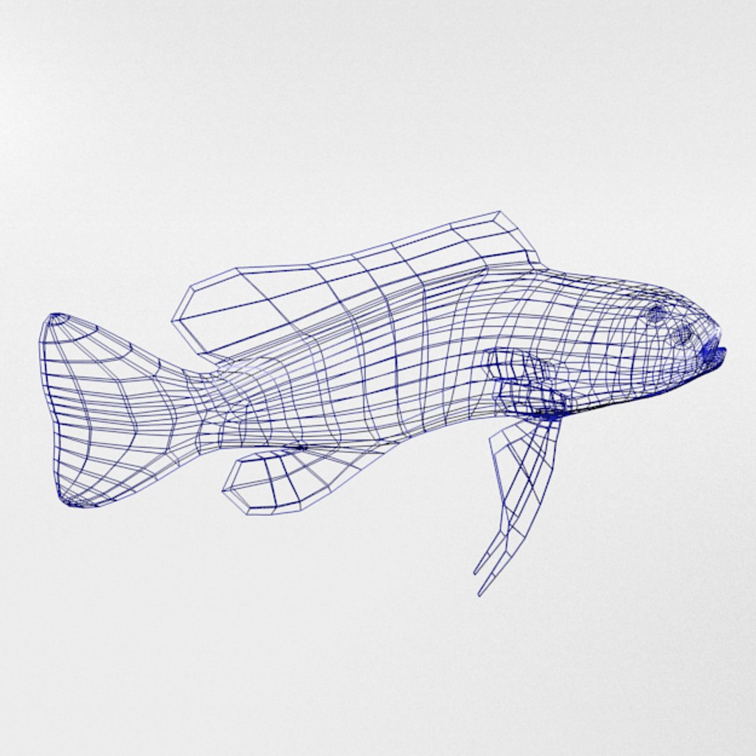 Gramma Loreto 3D Model - TurboSquid 1316781