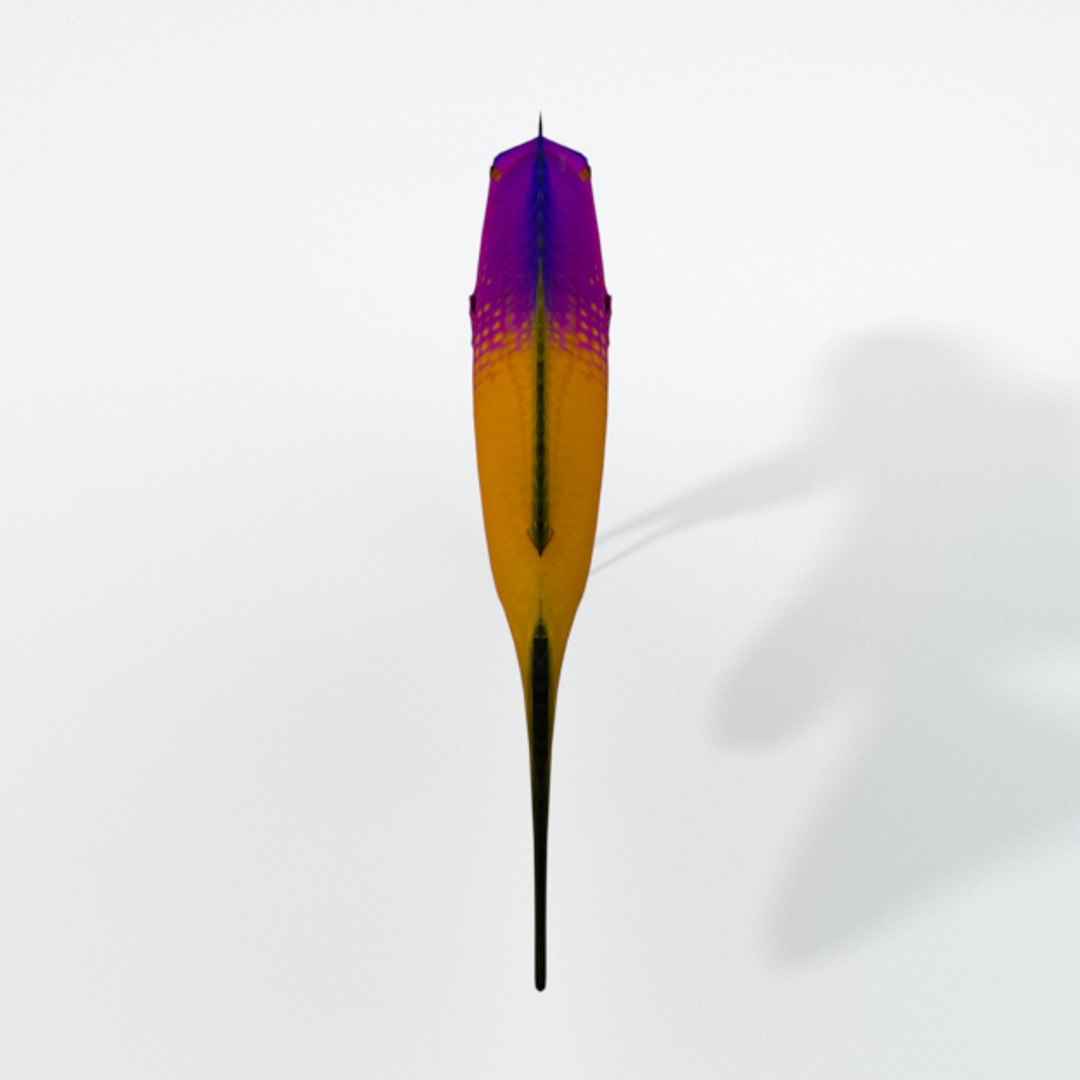 Gramma Loreto 3D Model - TurboSquid 1316781