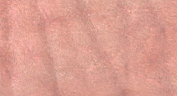 피부 3D 모델 - TurboSquid 1398054