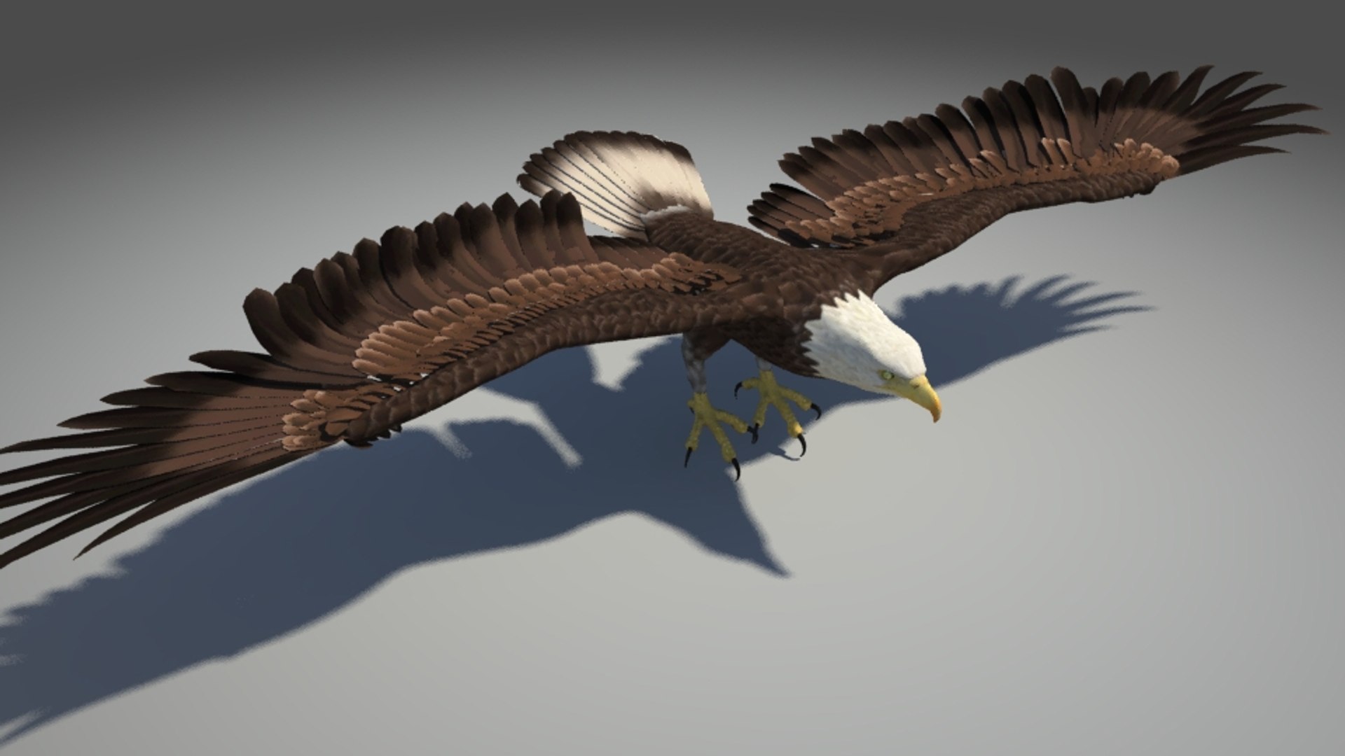 3d Model Eagle Bird