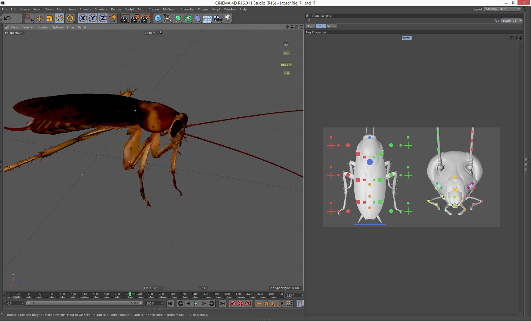 american cockroach rigged animation 3d c4d