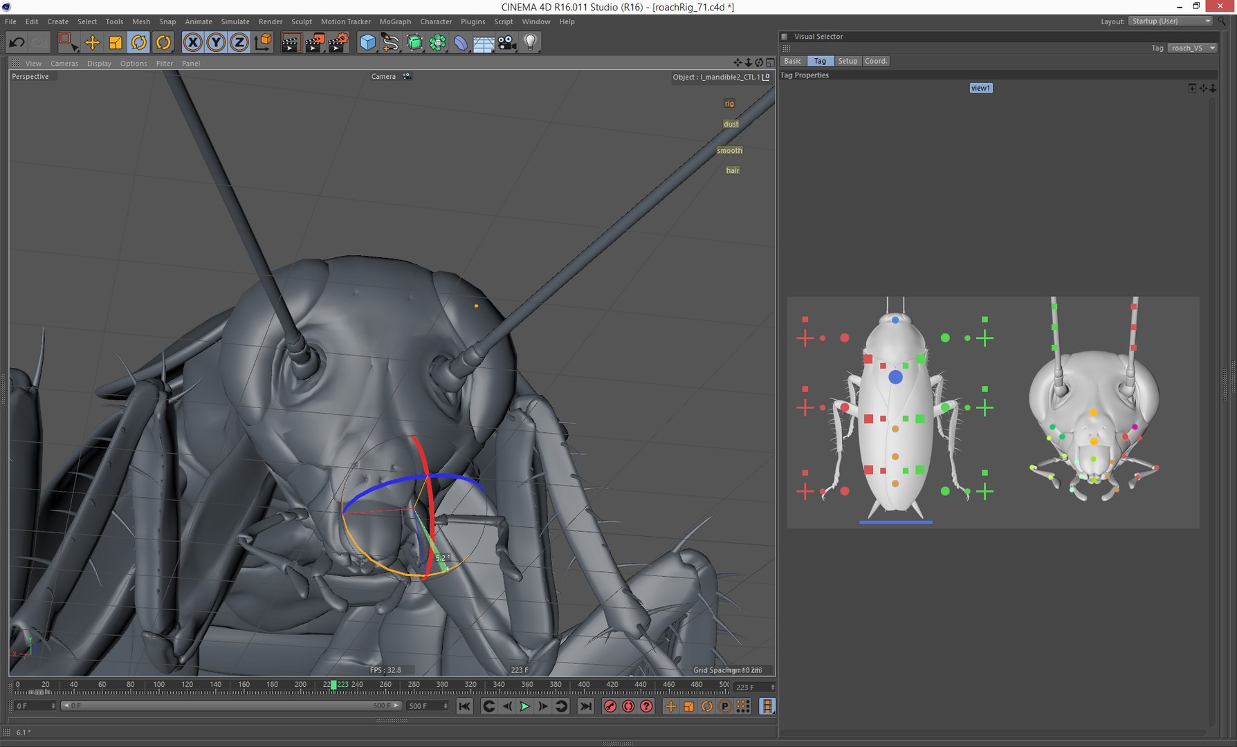 american cockroach rigged animation 3d c4d