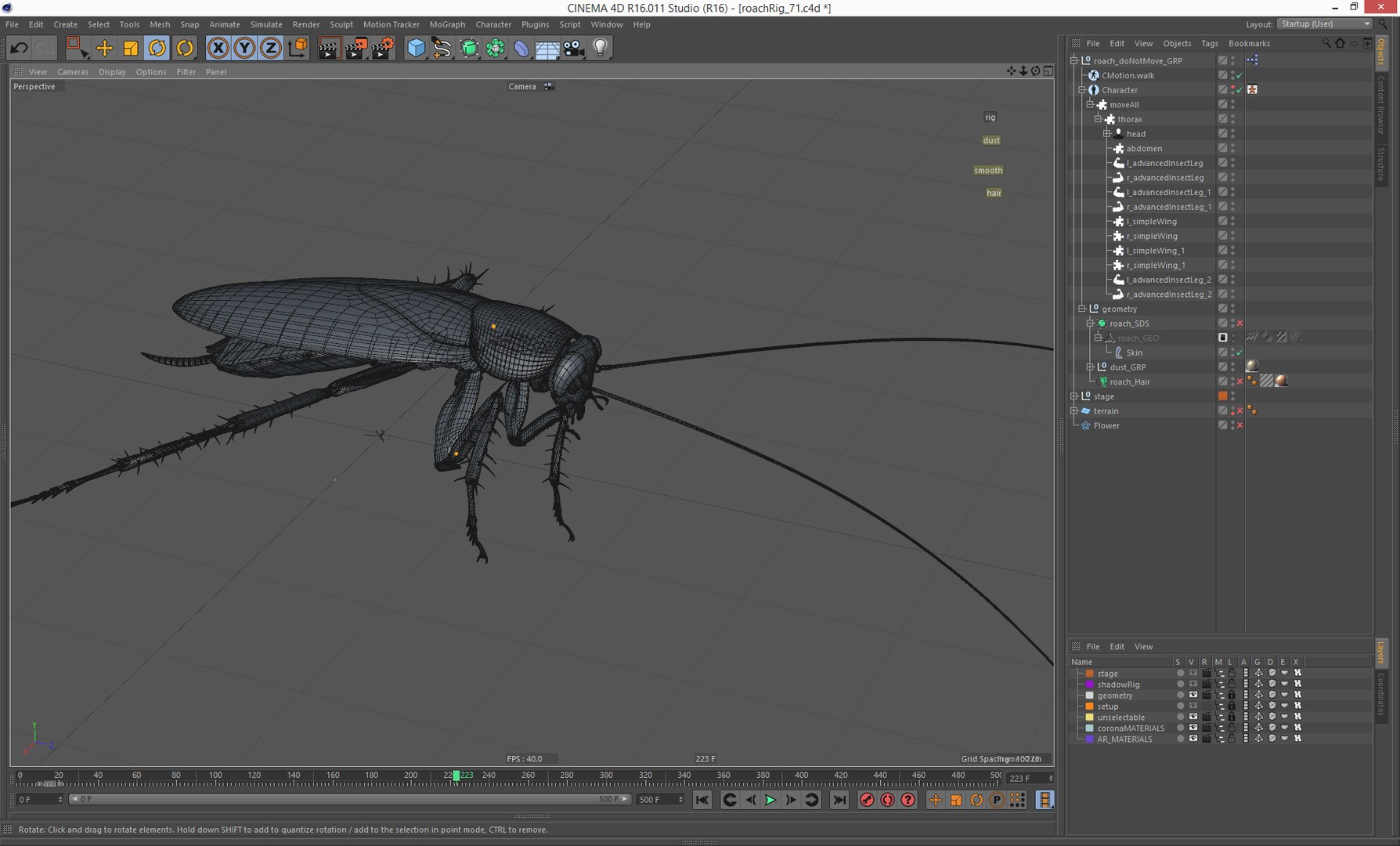 american cockroach rigged animation 3d c4d