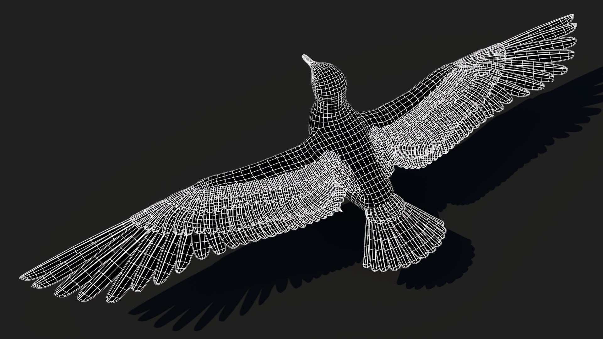 Seagull 3D Model Animated 3D - TurboSquid 2387002