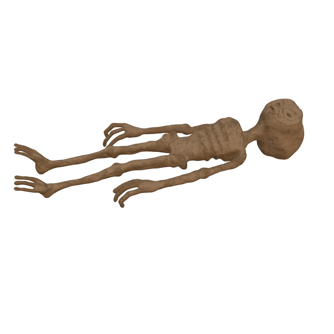 Alien Stone Mummy 3D Model - TurboSquid 2272437