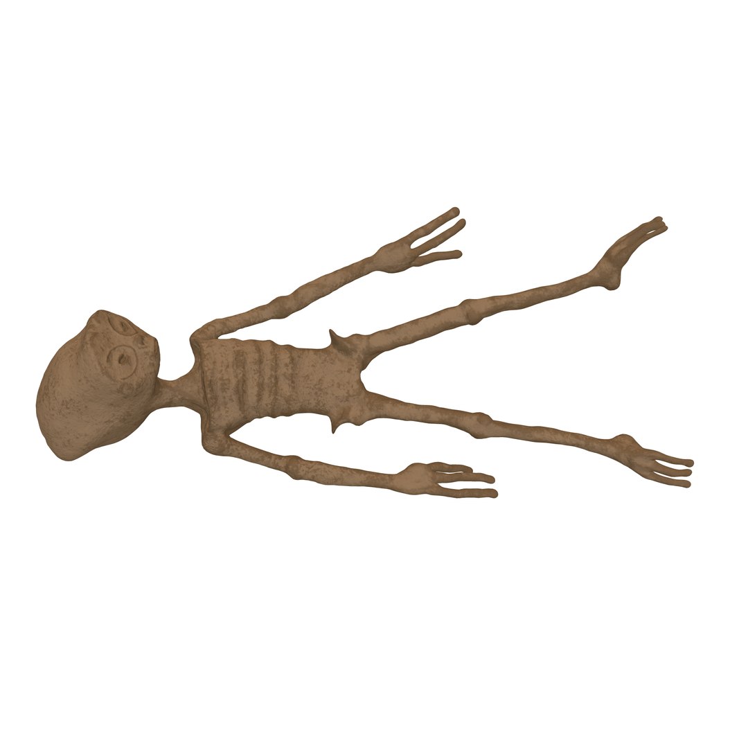 Alien Stone Mummy 3D Model - TurboSquid 2272437