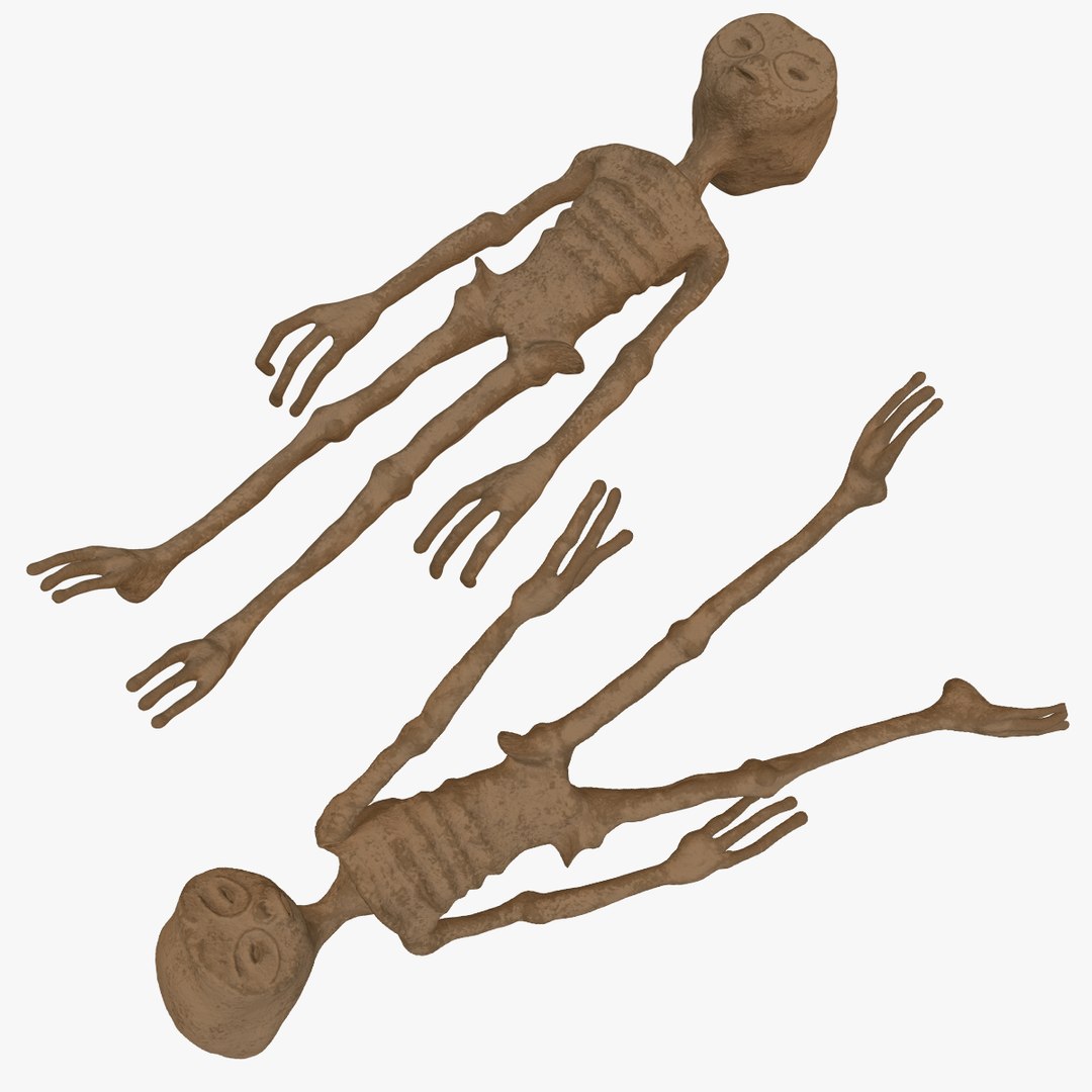 Alien Stone Mummy 3D Model - TurboSquid 2272437