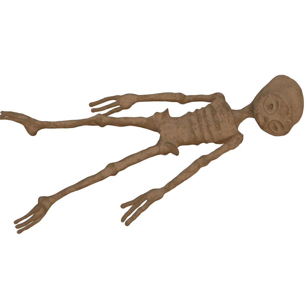 Alien Stone Mummy 3D Model - TurboSquid 2272437